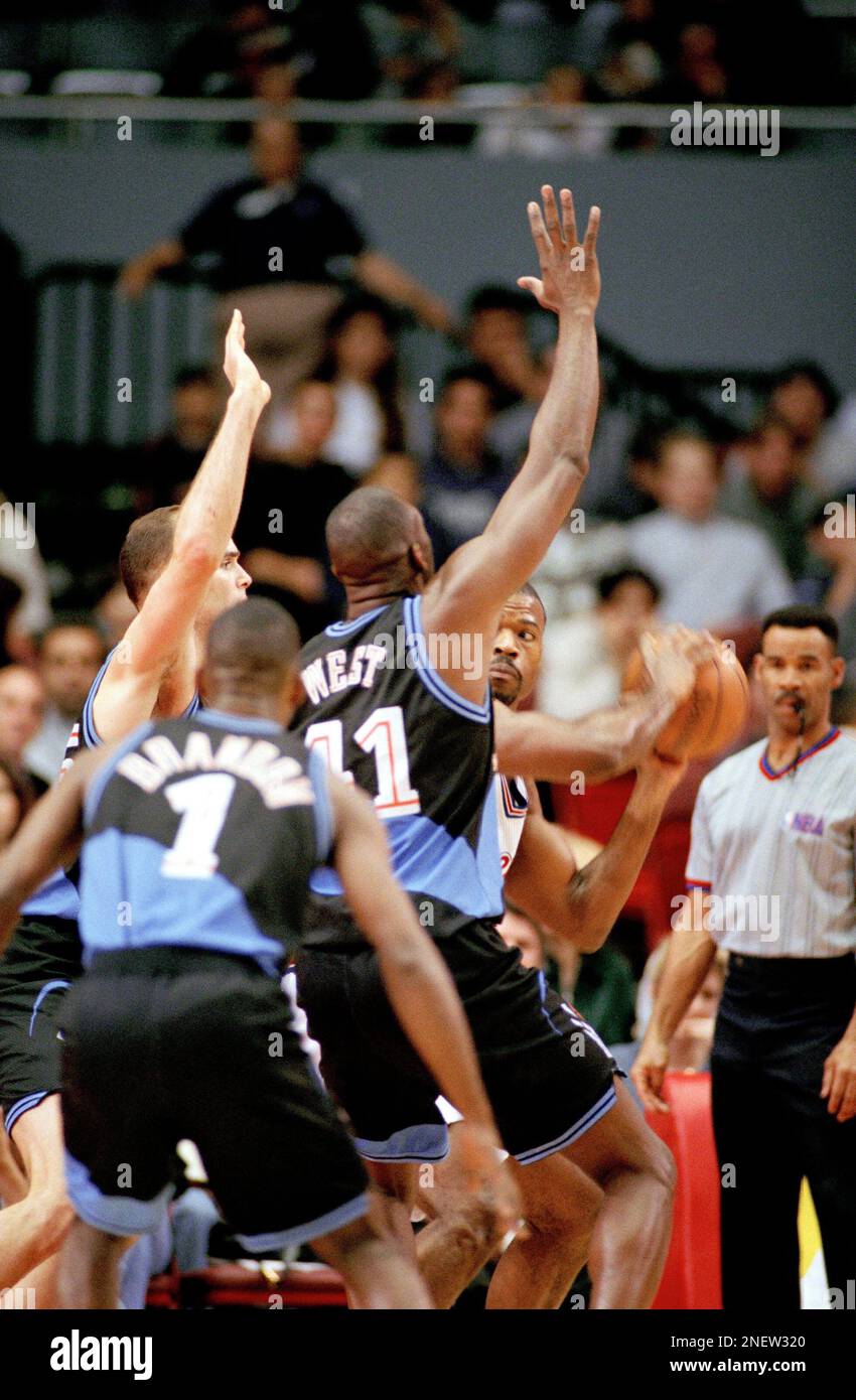 Sports sportswear professional sportsperson competition action skill ...