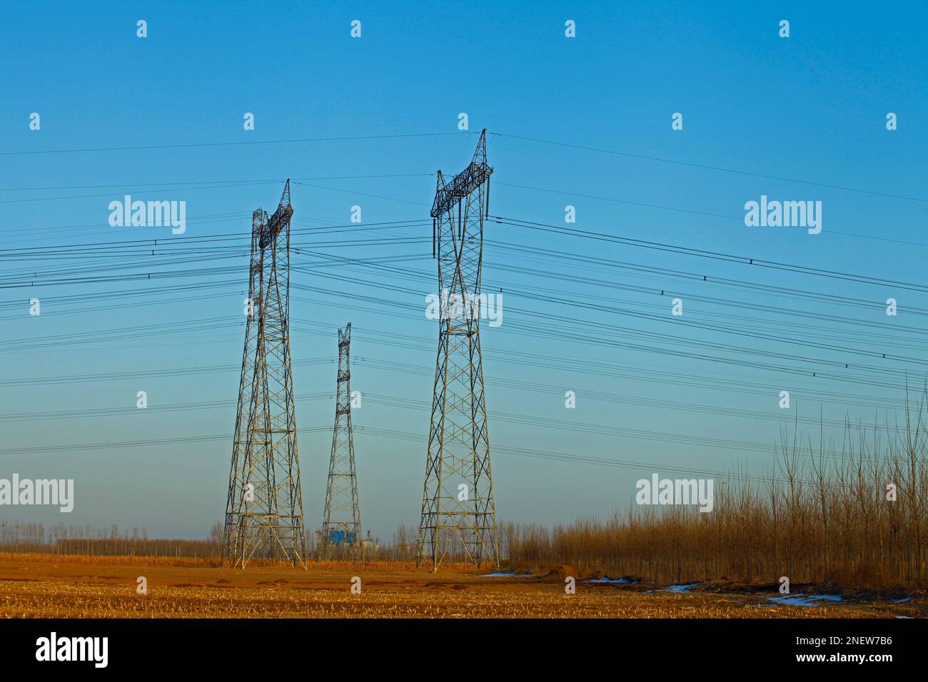 High voltage electric tower line Stock Photo - Alamy