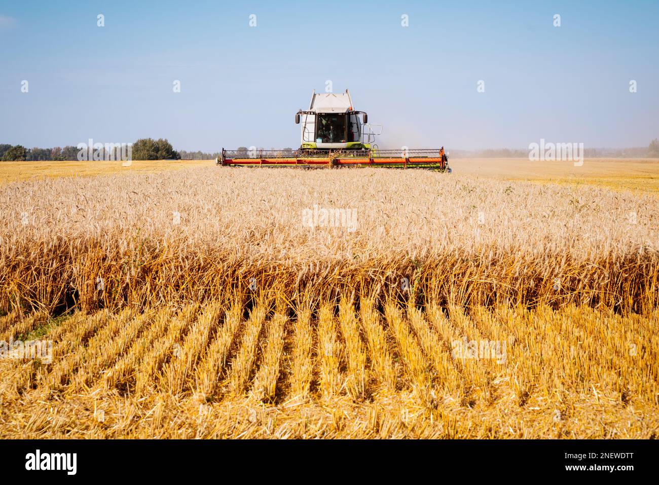 Combine harvester on the wheat field Stock Photo - Alamy