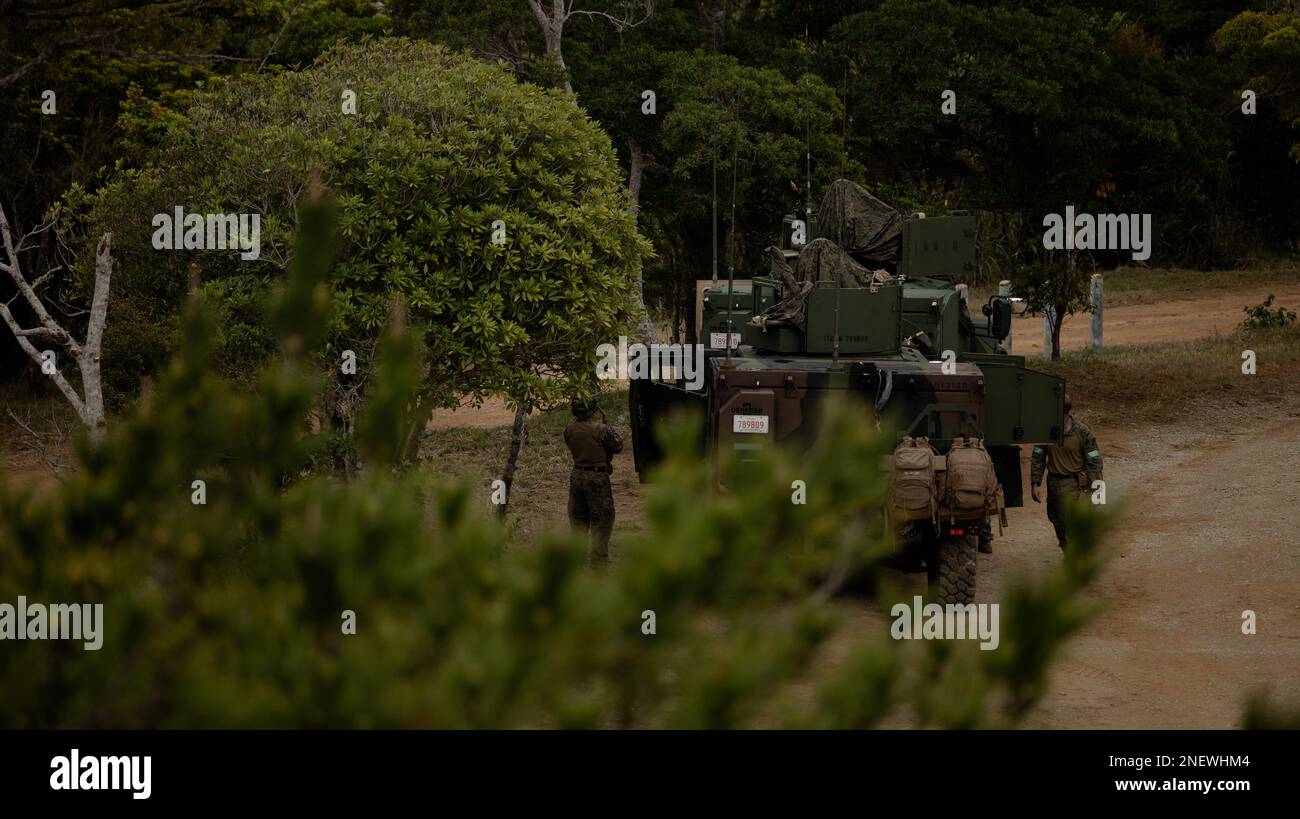 1st battalion 7th marines hi-res stock photography and images - Alamy