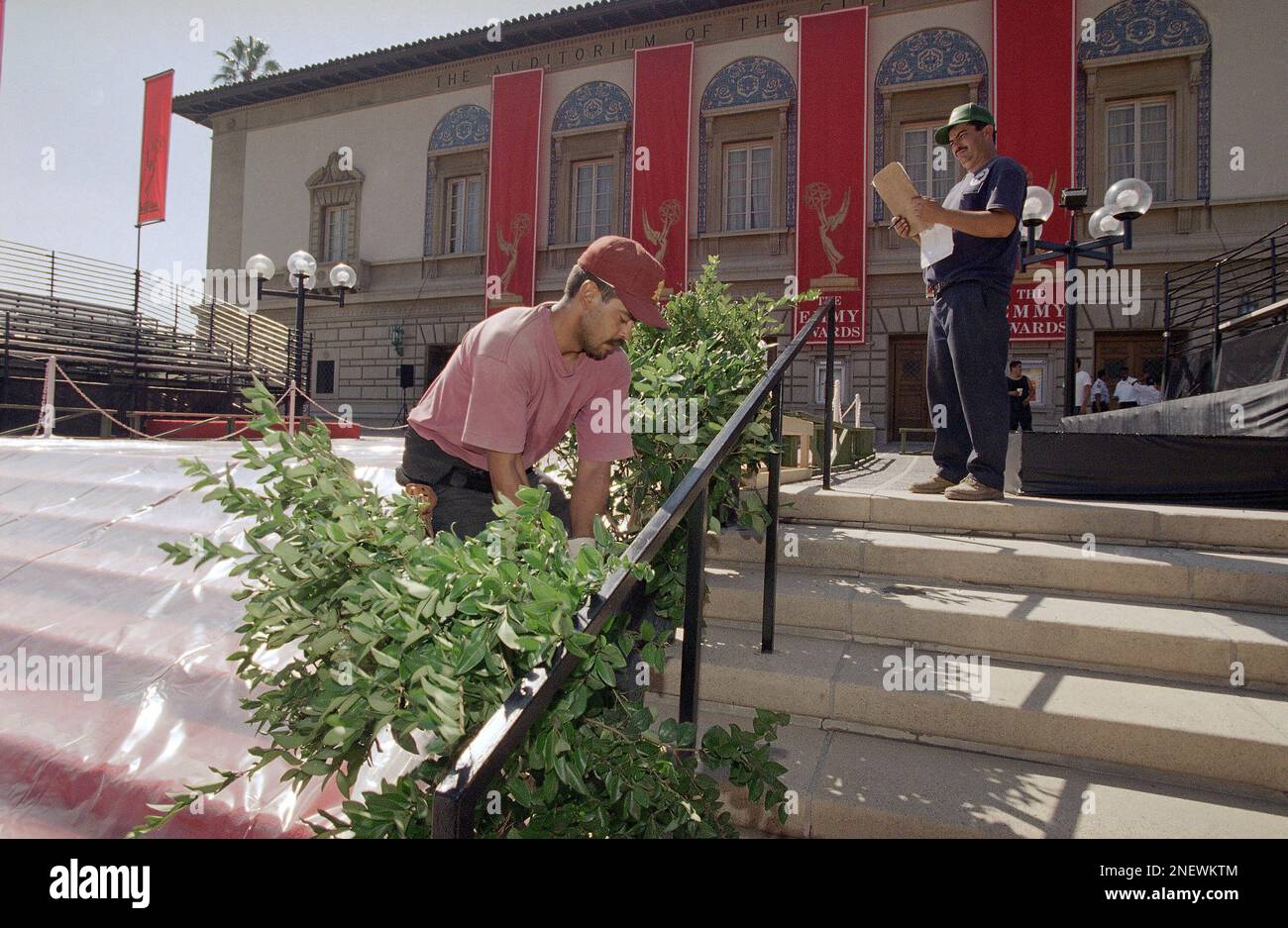 Jorge Rivera places boxed hedges, as Danny Vergara reviews plans, in ...