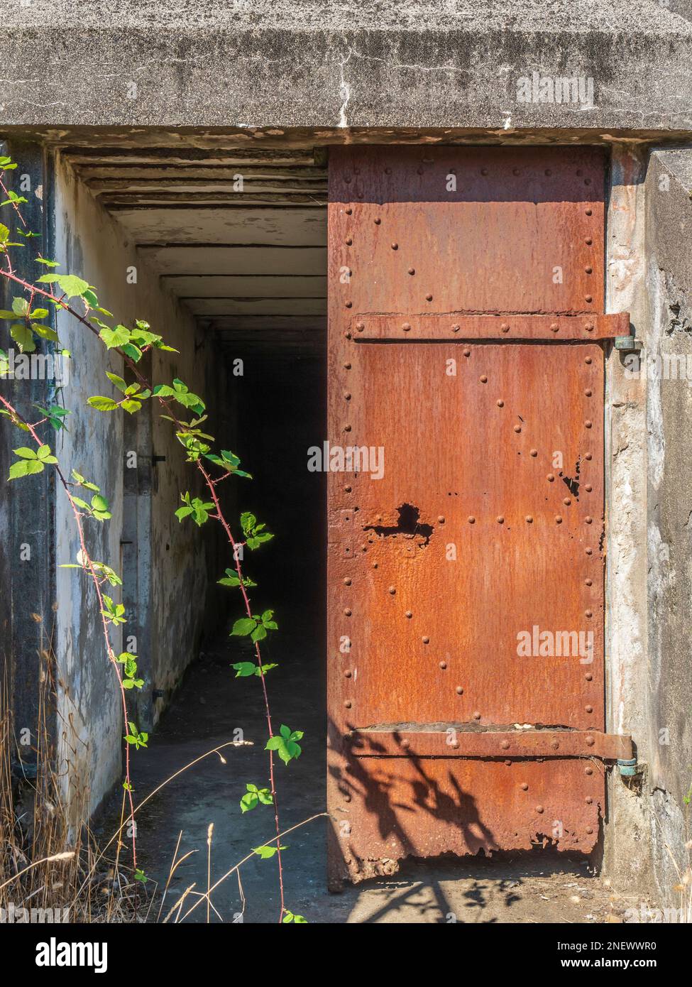 Bunker door hi-res stock photography and images - Alamy