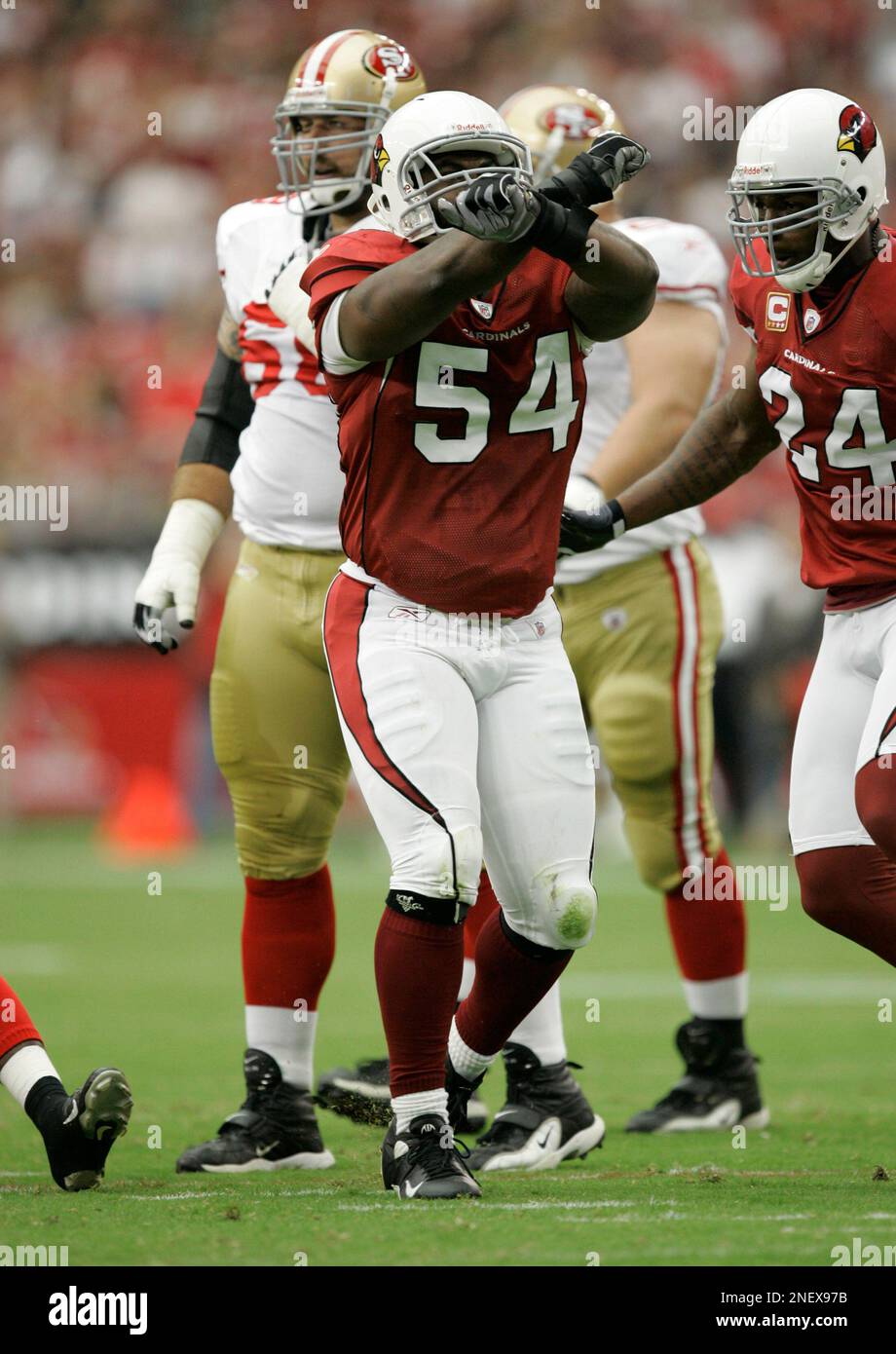 Arizona Cardinals linebacker Gerald Hayes celebrates a hit against the ...