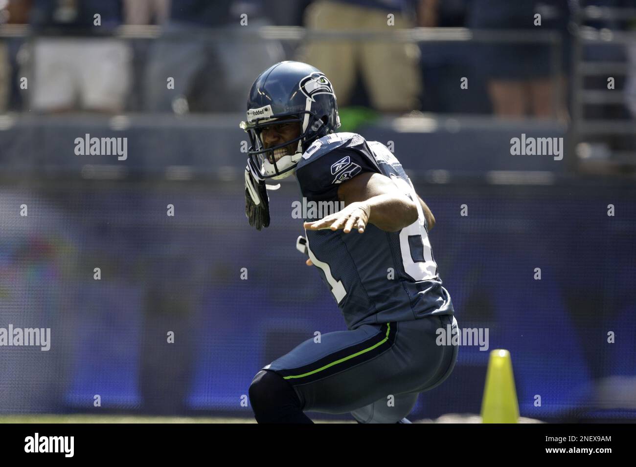 Seattle Seahawks wide receiver Nate Burleson (81) during an NFL ...