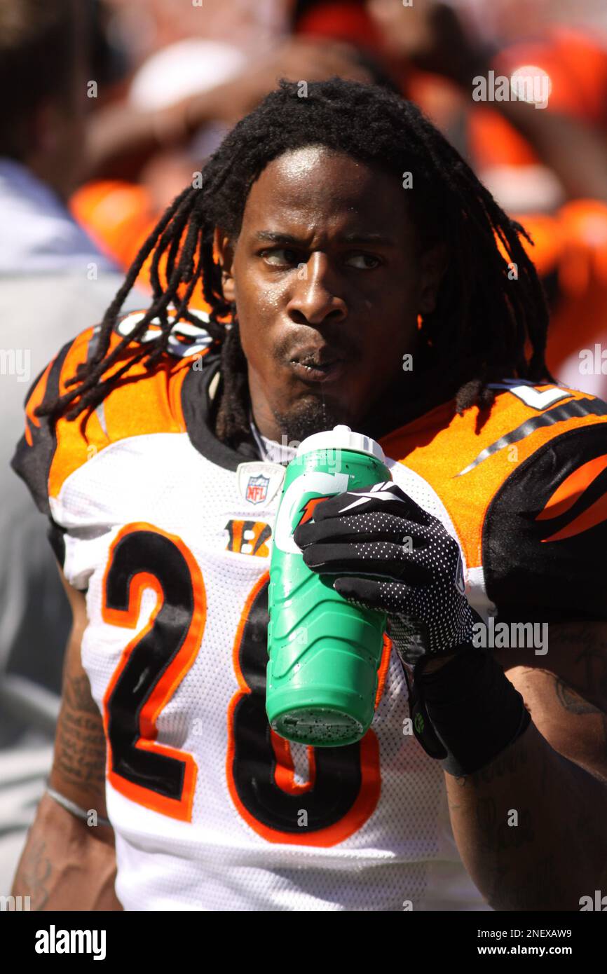 Cincinnati Bengals running back Bernard Scott (28) in an NFL football ...