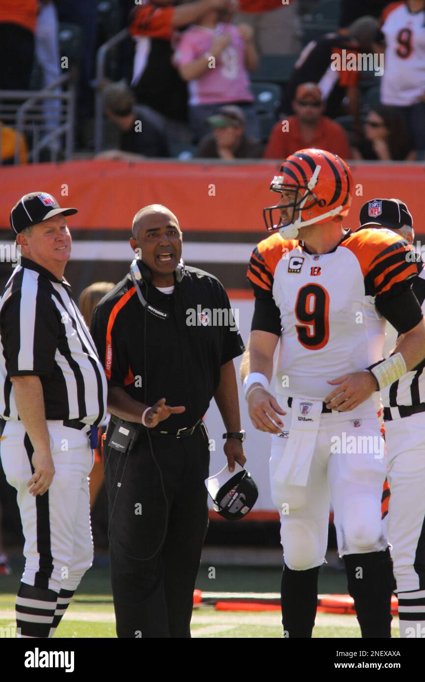Cincinnati Bengals head coach Marvin Lewis and Cincinnati Bengals ...