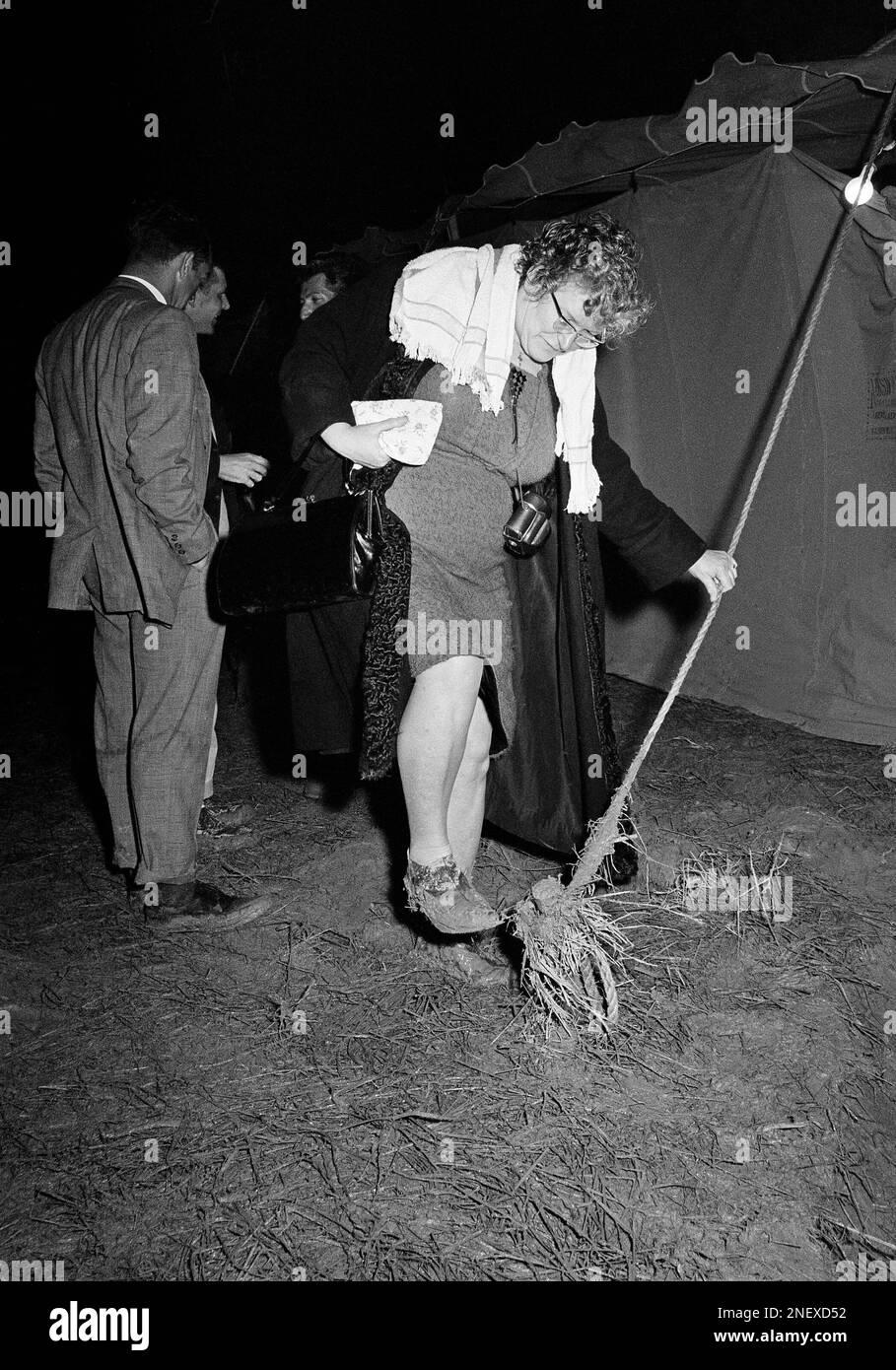 This special transmission for the Toronto Star shows Mrs. Ann Cheetham ...