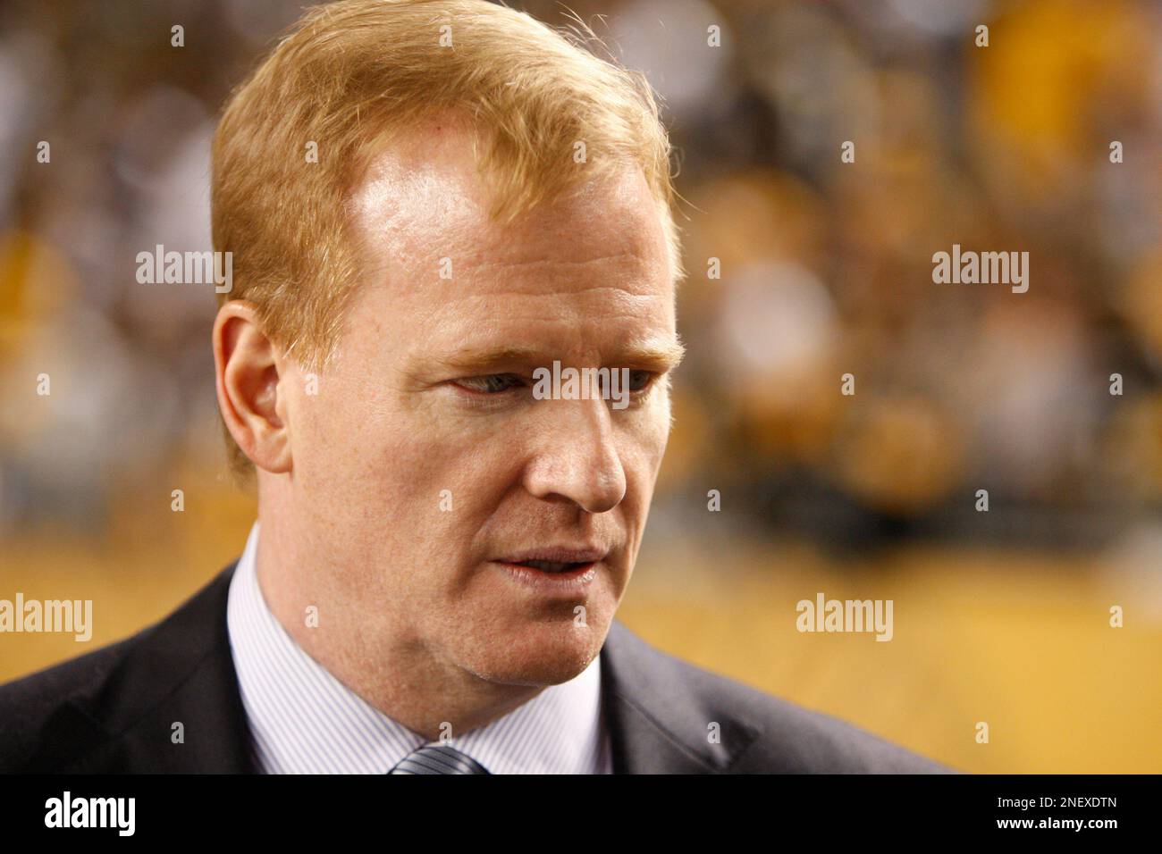 NFL commissioner Roger Goodell during pre-game festivities before the ...