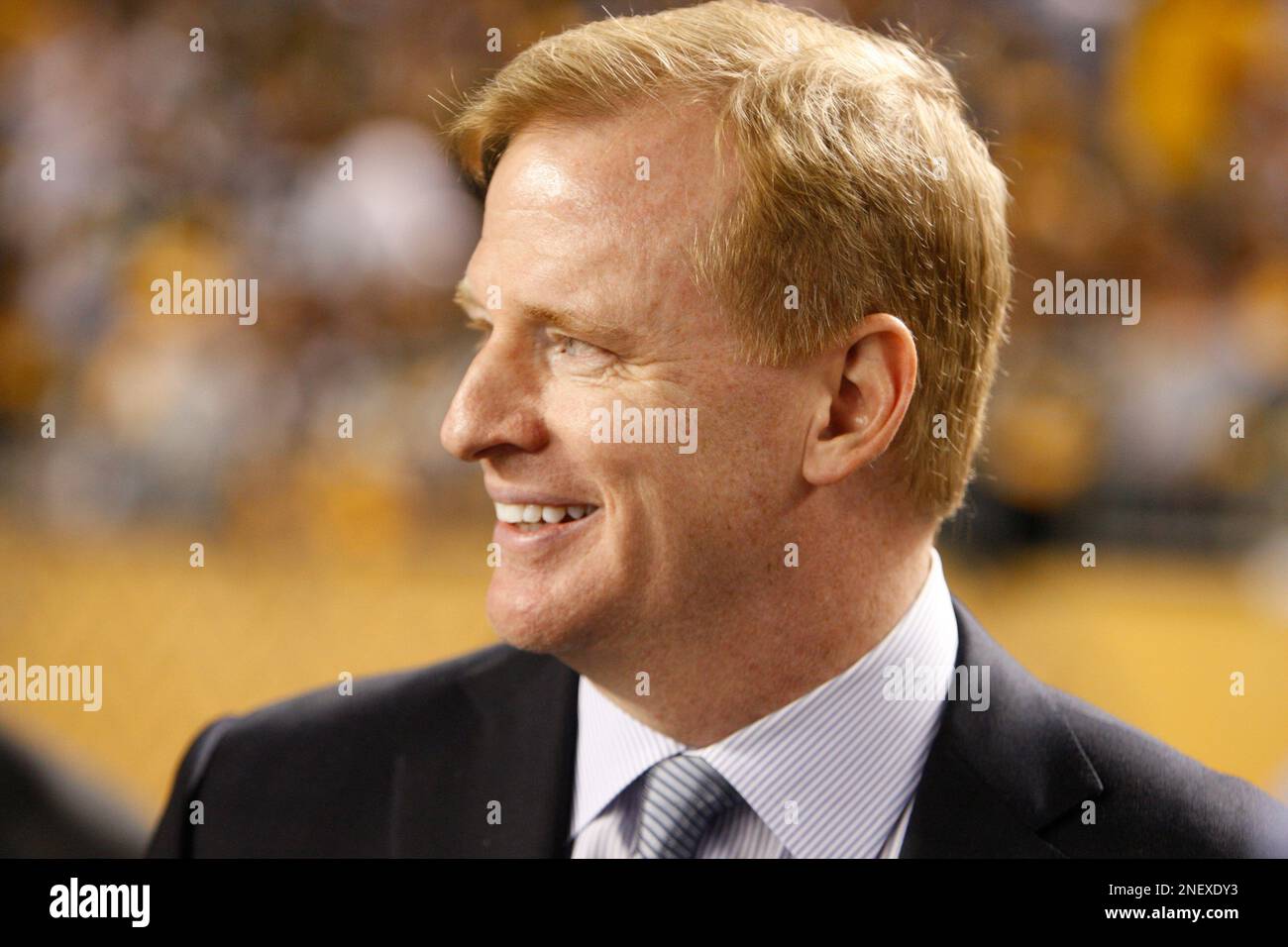 NFL commissioner Roger Goodell during pre-game festivities before the ...