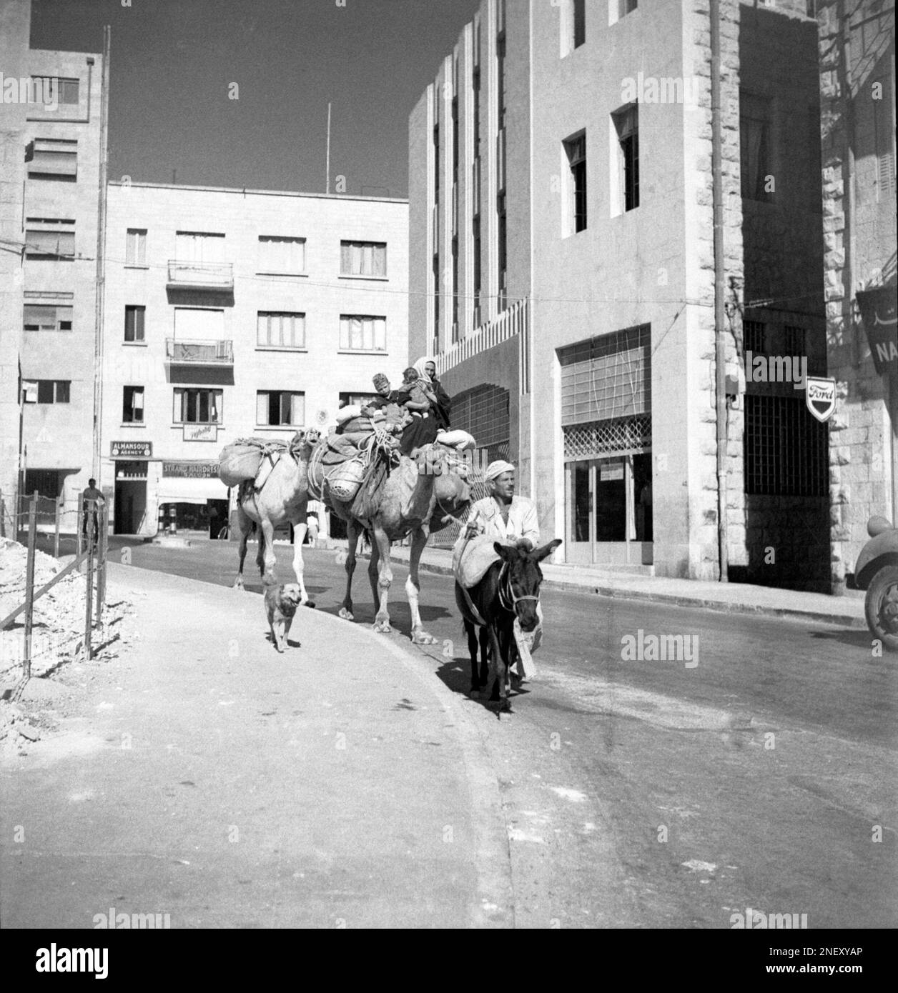 An Arab family, consisting of father leading a donkey, and mother ...