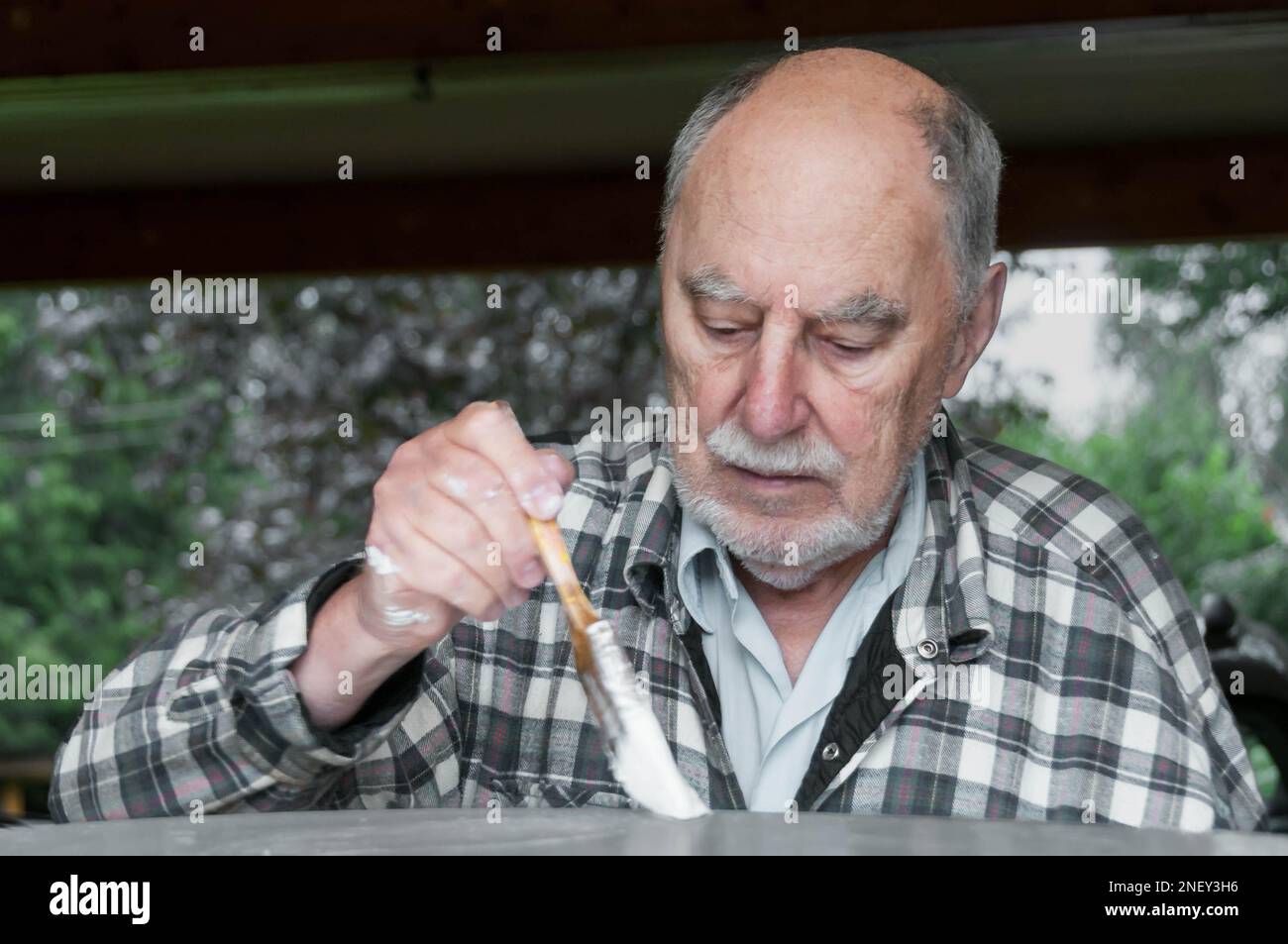 close view of an aged senior man with expressive face painting a garden ...