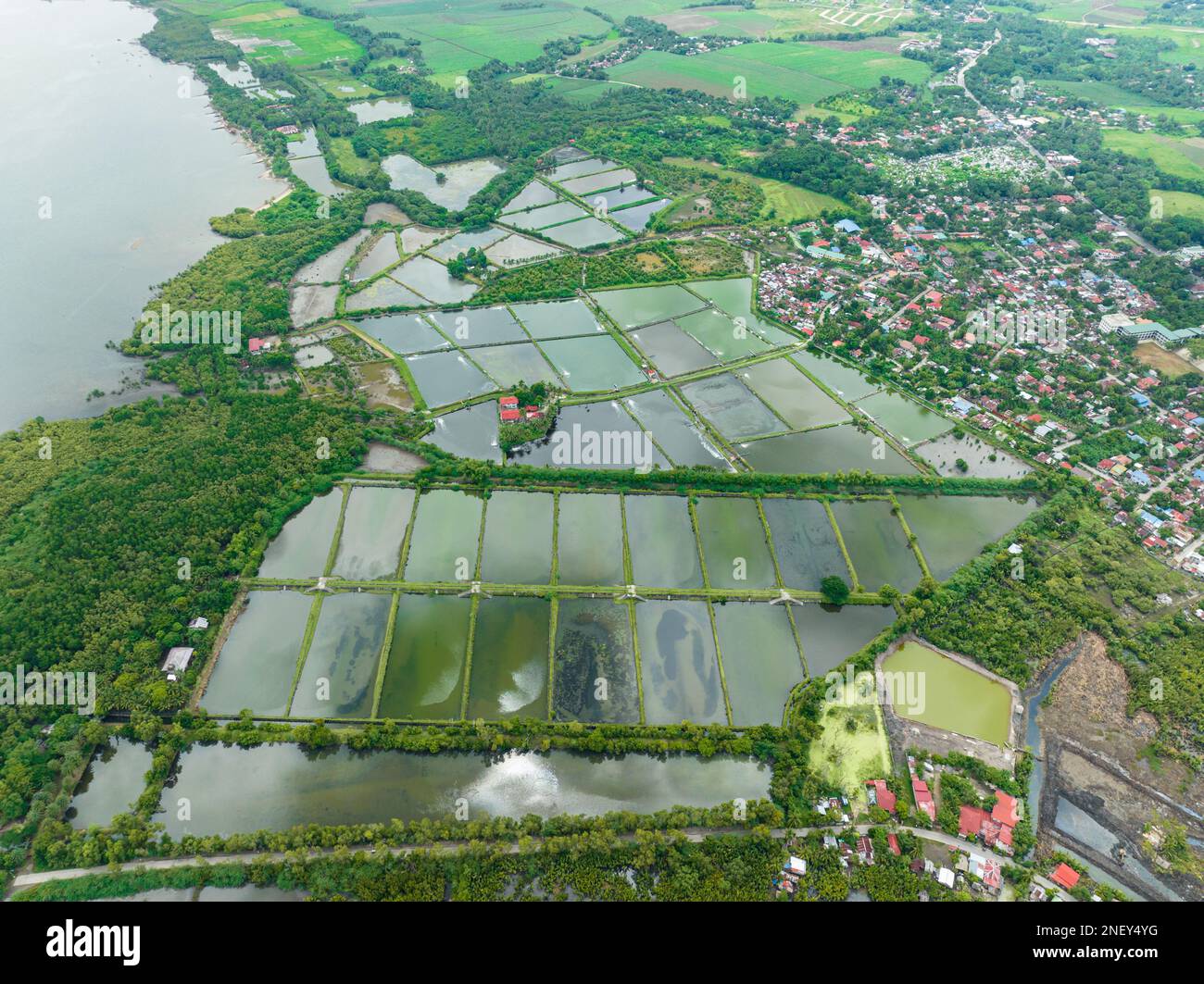 Village houses among farmland and rice fields in the countryside ...