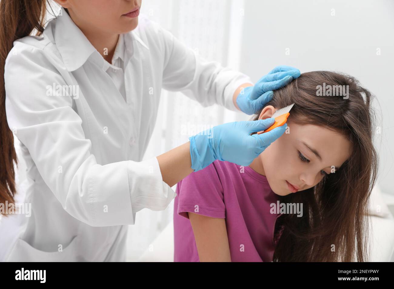 Doctor using nit comb on little girl's hair indoors. Anti lice ...