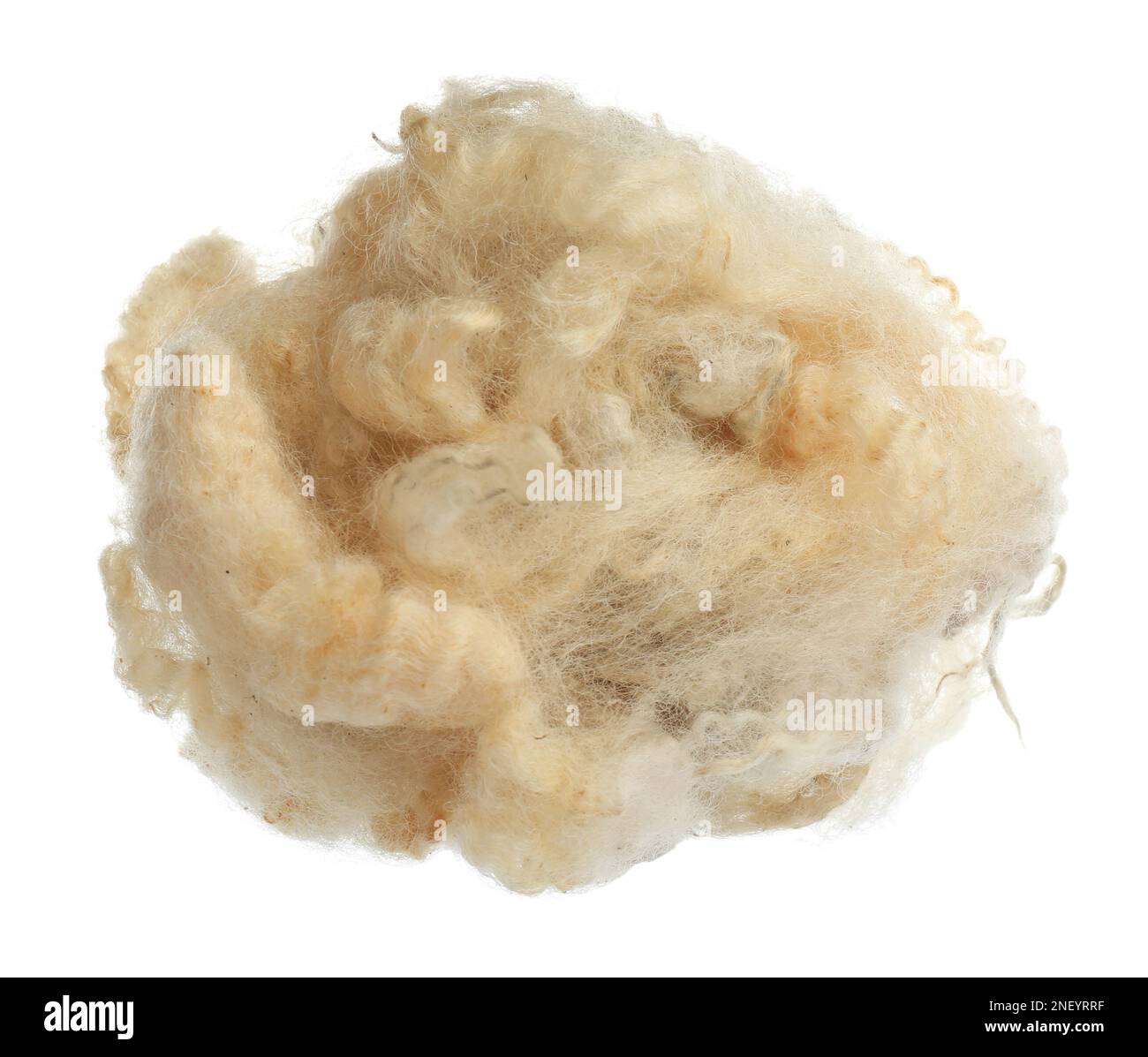 Pile of wool sheep Cut Out Stock Images & Pictures - Alamy