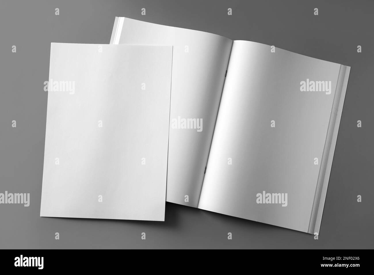 Paper sheet and open blank brochure on light grey background, flat lay ...