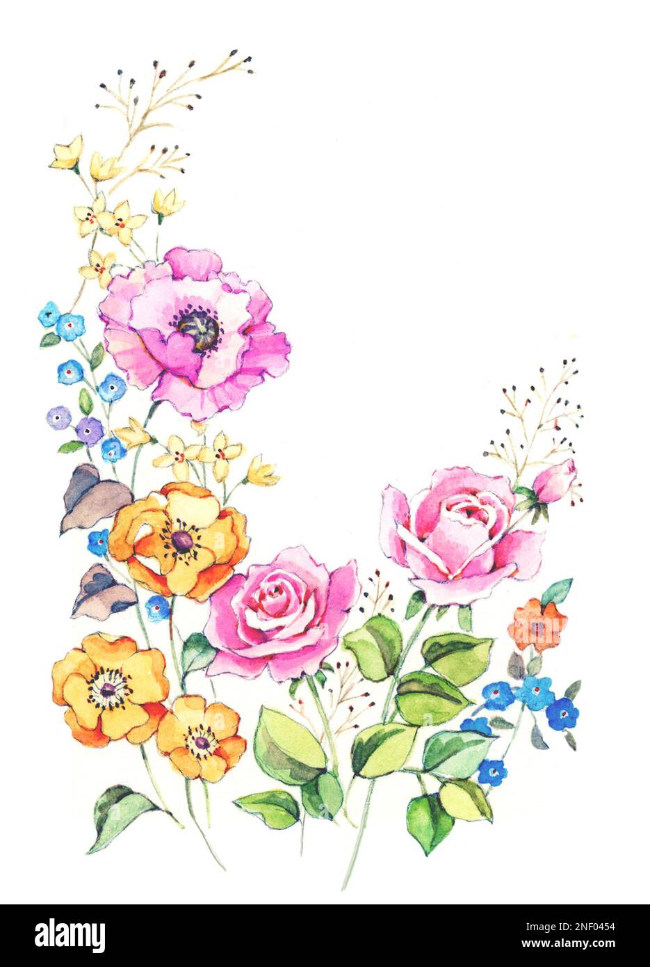 Flowers-scattered variety on white Stock Photo - Alamy