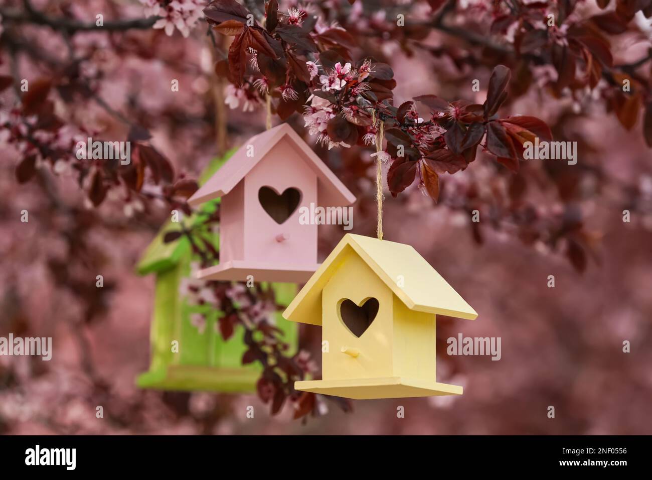 Different wooden bird houses hanging from tree outdoors Stock Photo - Alamy