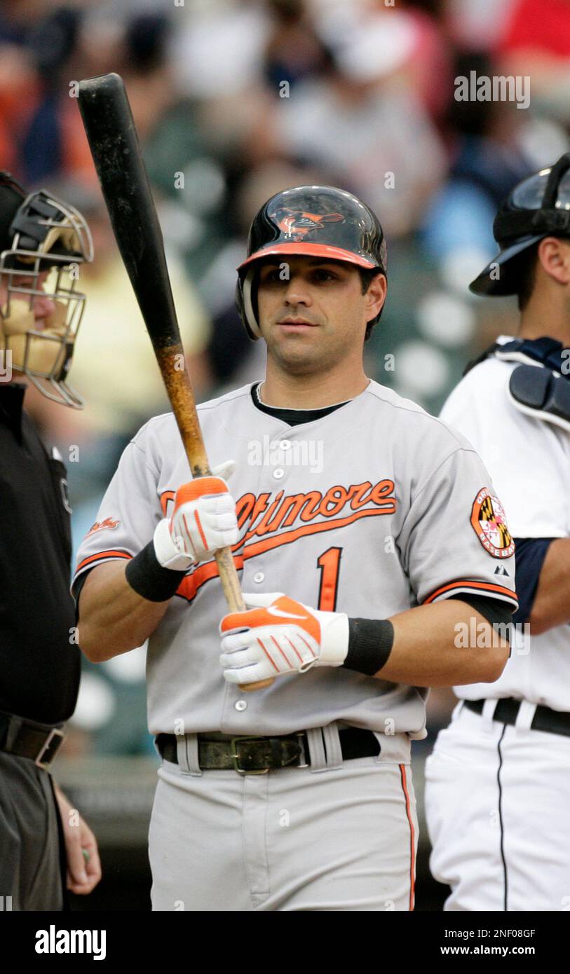 Baltimore Orioles' Brian Roberts bats against the Detroit Tigers in a ...