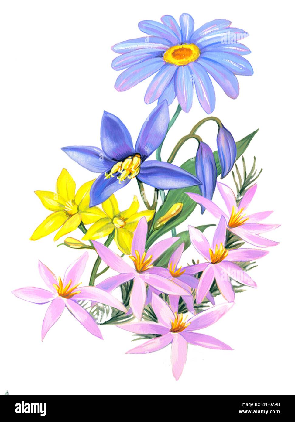 Blue pink yellow Cut Out Stock Images & Pictures - Alamy