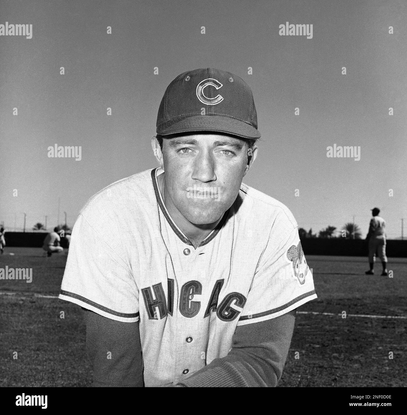 Shown in photo are head and shoulder shots of Chicago Cubs outfielder ...