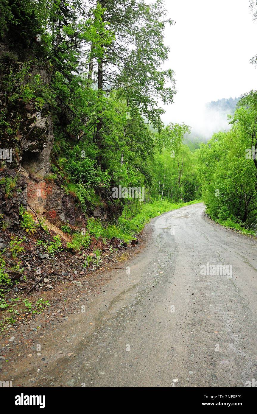 Winding dirt road running along a high cliff and a summer forest after ...