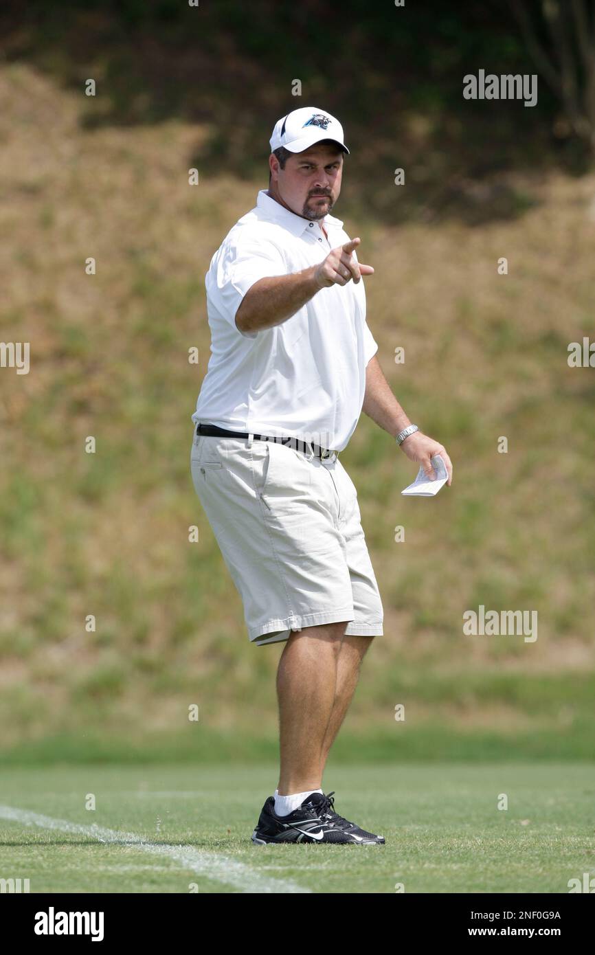 Carolina Panthers' offensive coordinator Jeff Davidson is shown during ...