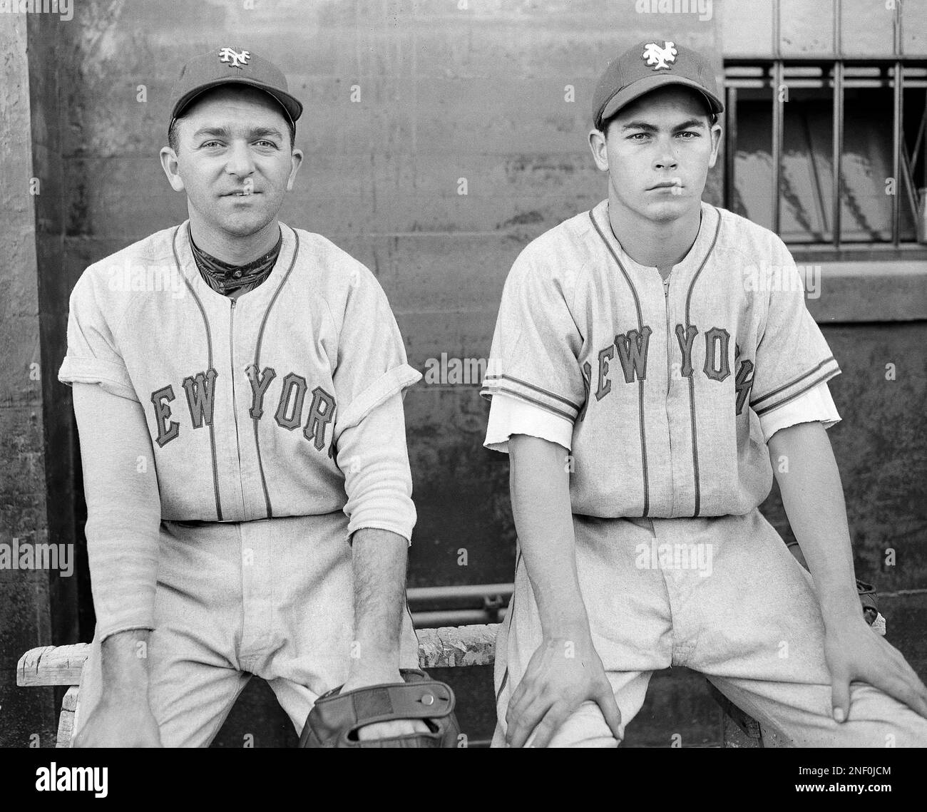 Shown in photo is New York Giants Nicholas Witek and Jack Lohrke in ...