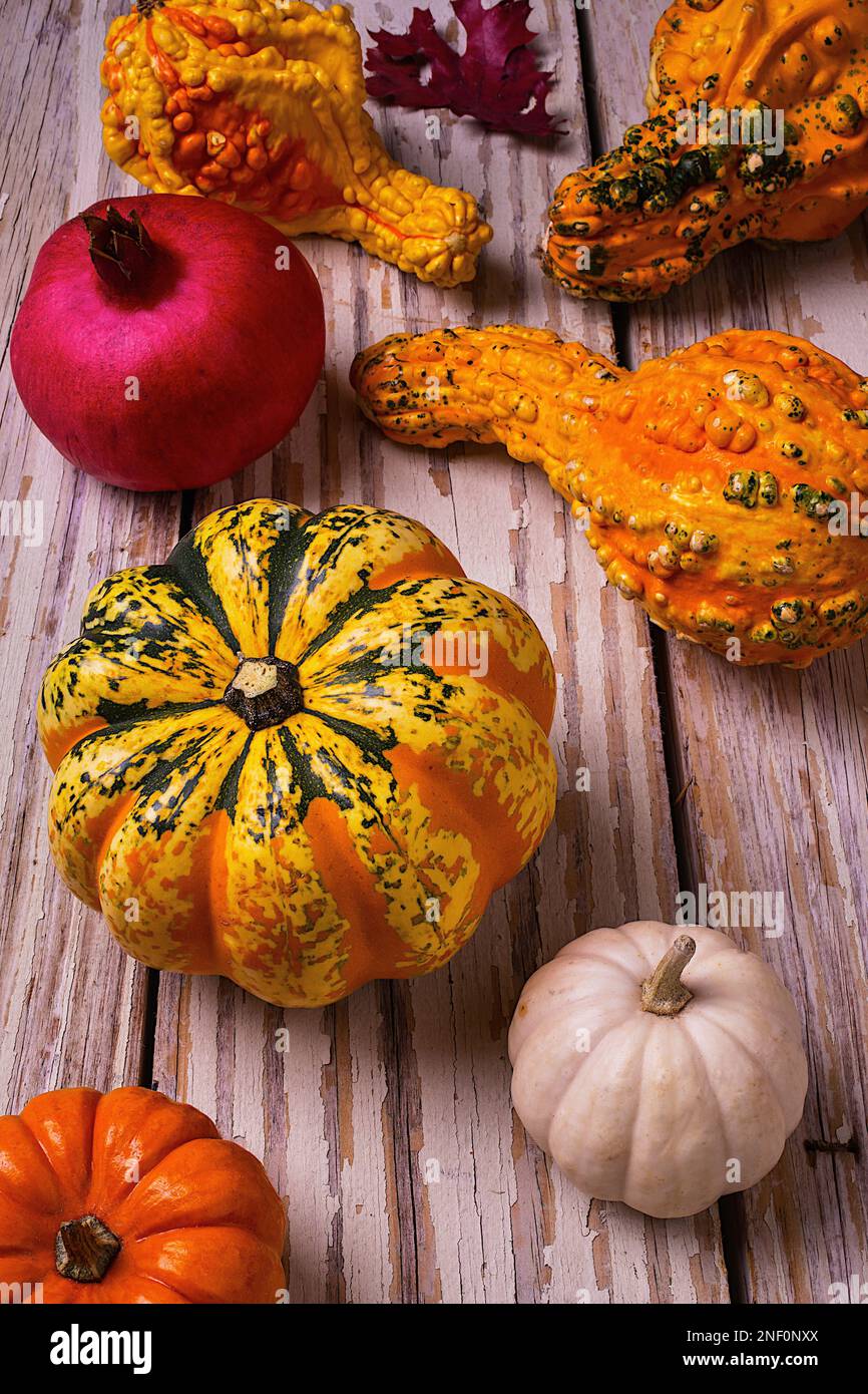 Collection Of Gourds Stock Photo - Alamy