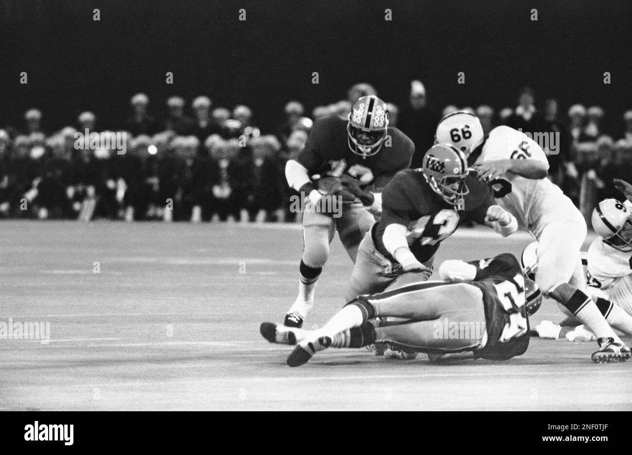 University of Pittsburgh tailback Tony Dorsett (33) carries the ball ...
