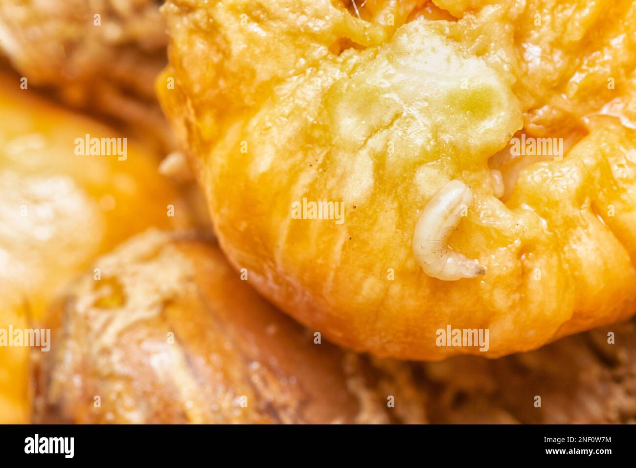 rotten flesh of the Artocarpus integer inner fruit Stock Photo - Alamy