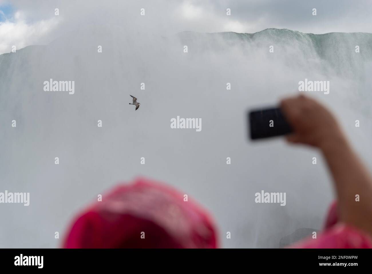 Tourist with pink raincoat taking photos of Niagara Falls on boat ...