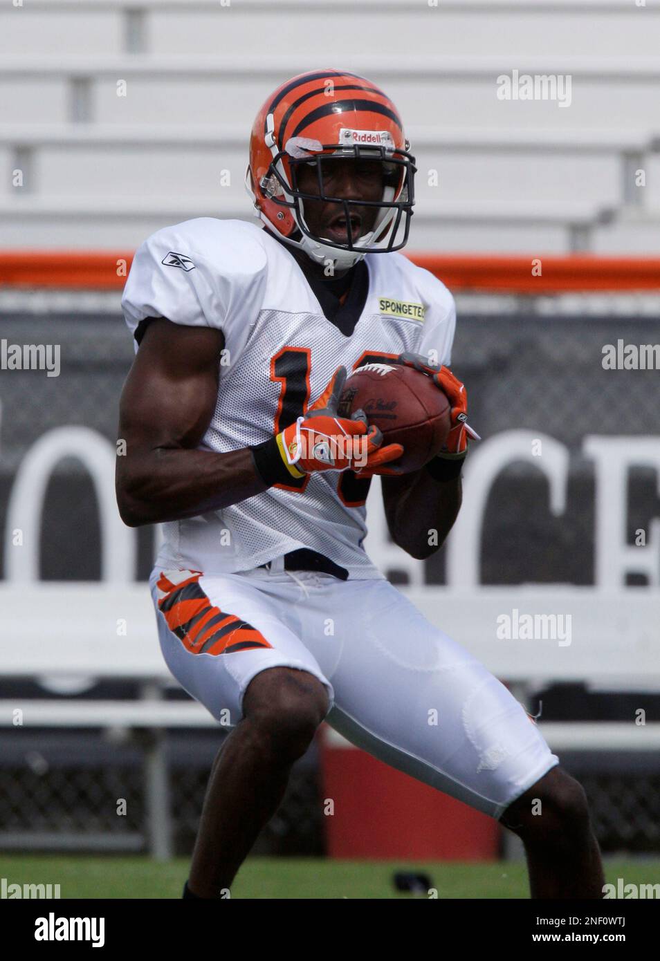 Cincinnati Bengals receiver Greg Orton during practice at their NFL ...