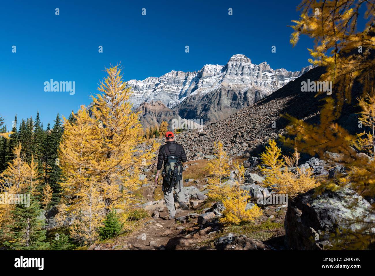 Hiking Lake O'Hara to Lake McArthur Trail in autumn. Yoho National Park ...