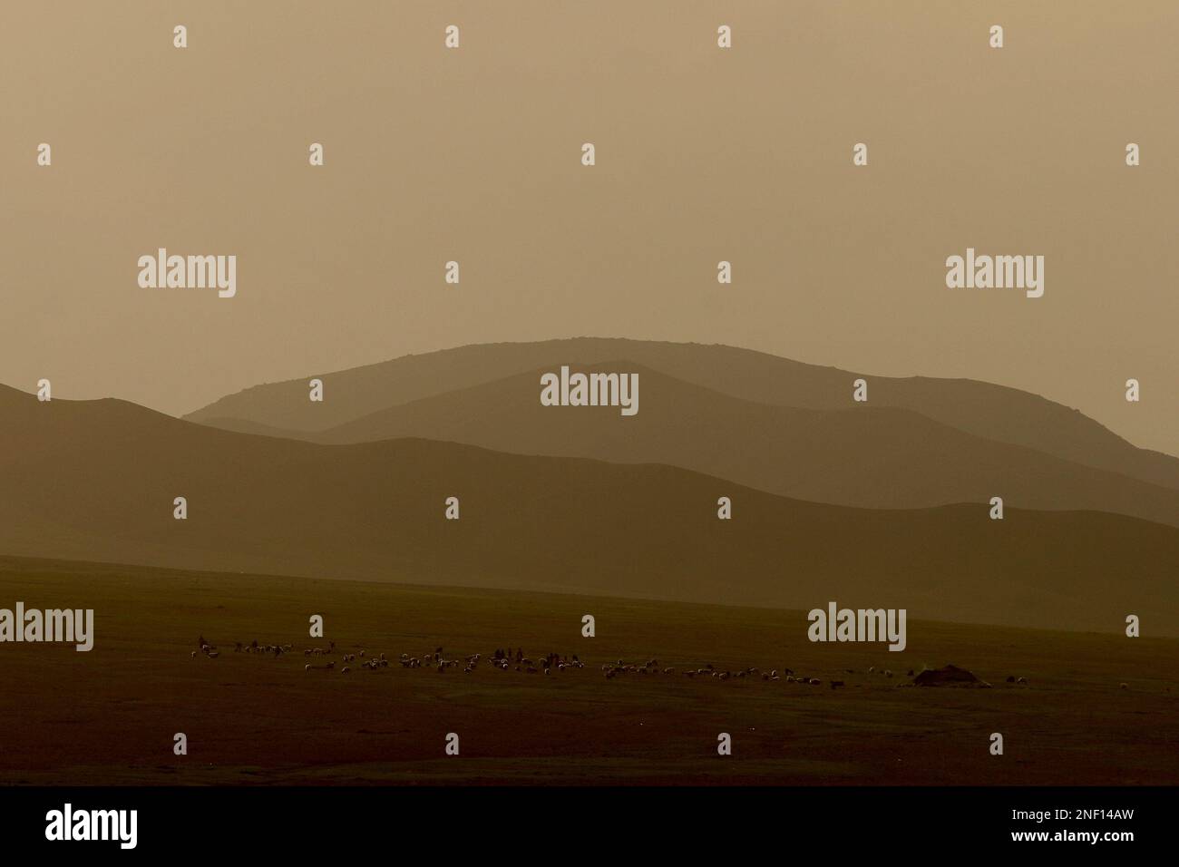 Kuchi nomads outside Kabul, Afghanistan 2005. (AP Photo/Tomas Munita ...