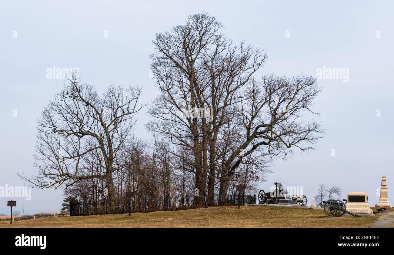 The Copse of Trees, the focal point of Pickett's charge on Hancock ...