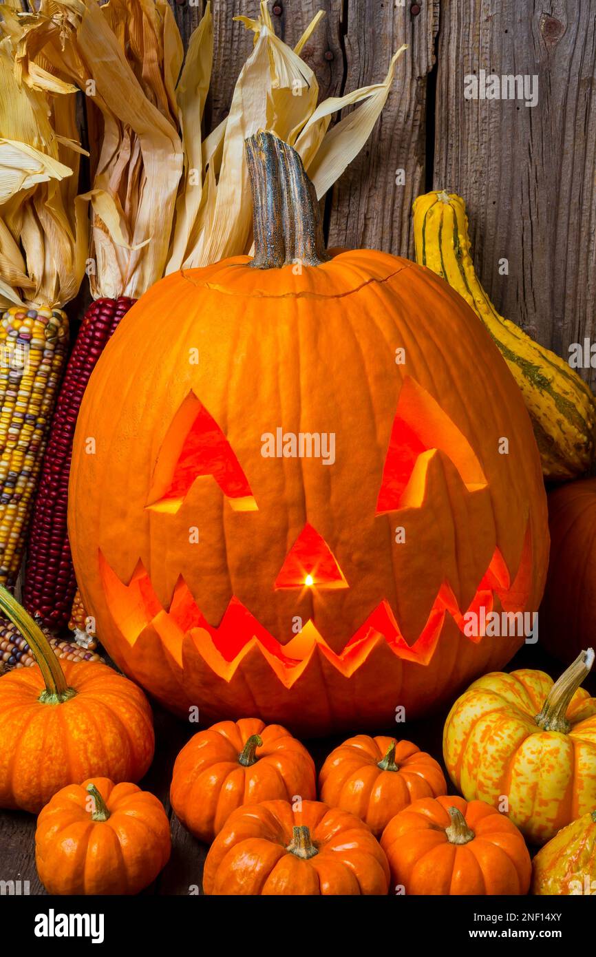 Jack-O'Latern With Small Pumpkins,Indian corn and gourds Stock Photo ...
