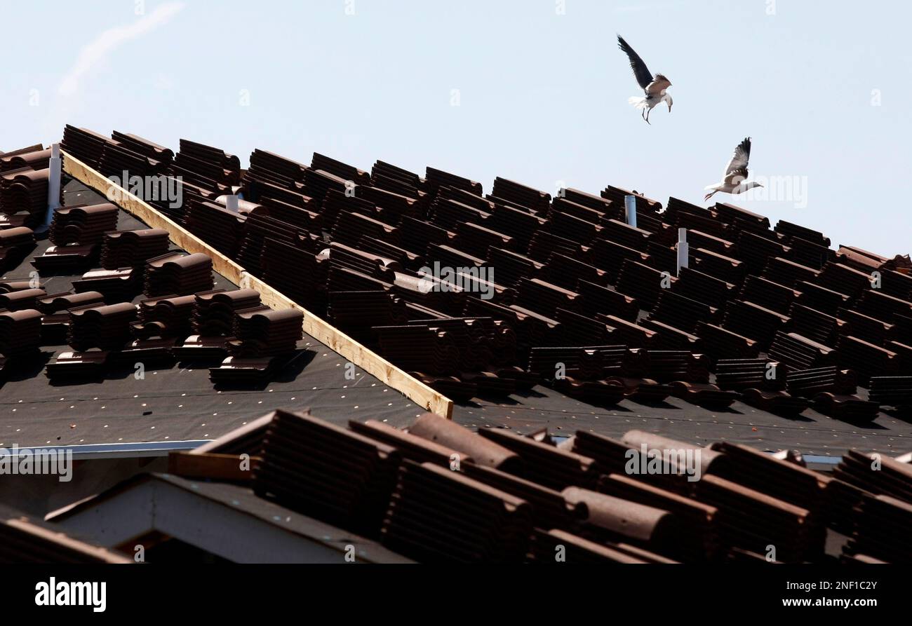 Birds fly over uncompleted roofs at a housing development under ...