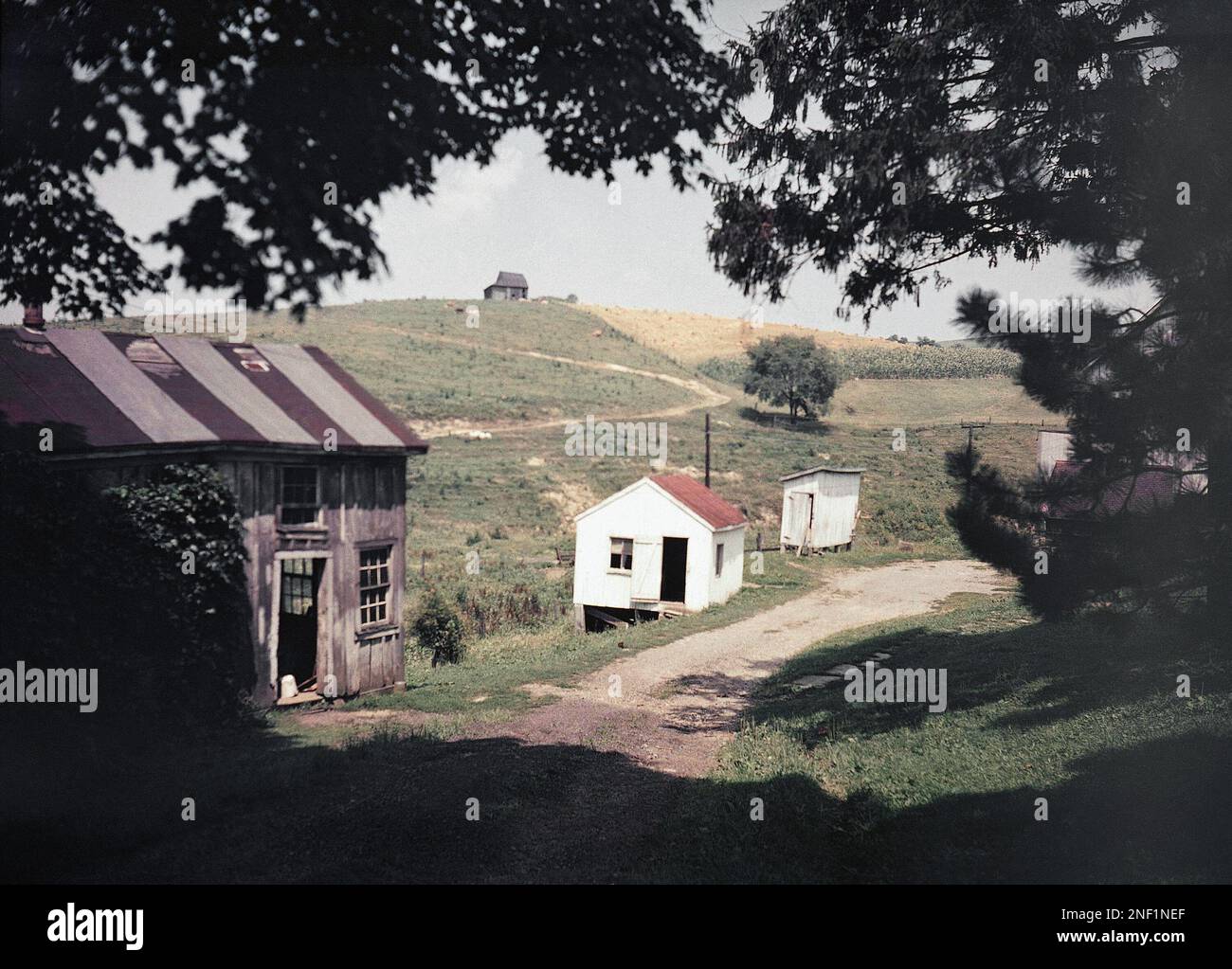 Shown in photo is a view of farms Pennsylvania in west Alexander on ...