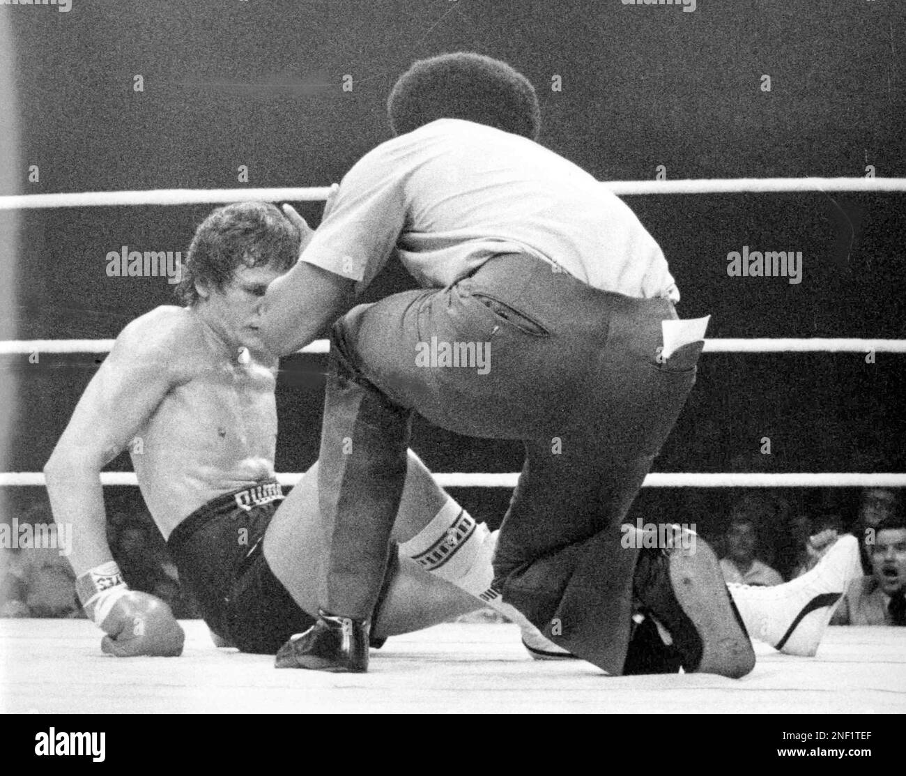 German boxer Eckhard Dagge is counted out by the referee in the fifth ...