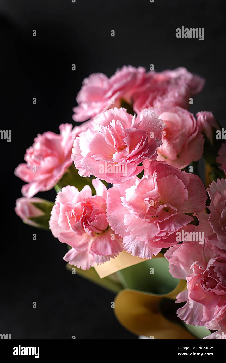 Bouquet carnations on black hi-res stock photography and images - Alamy