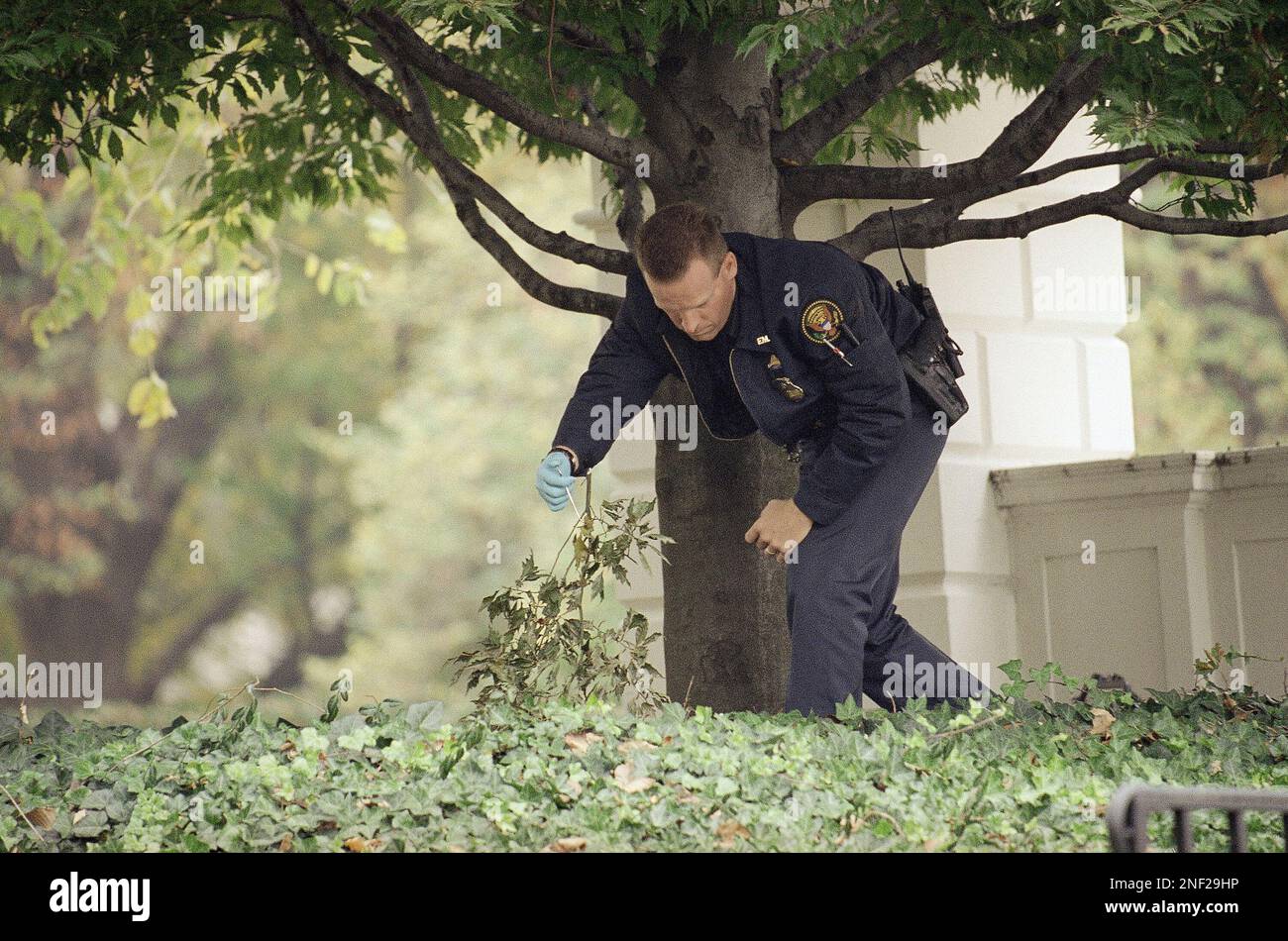 A Secret Service investigator searches through the grounds of the White ...