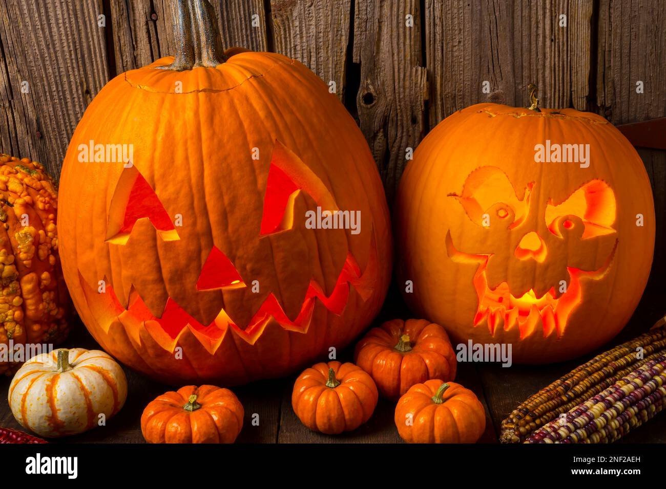 Fall harvest pumpkins candle hi-res stock photography and images - Alamy