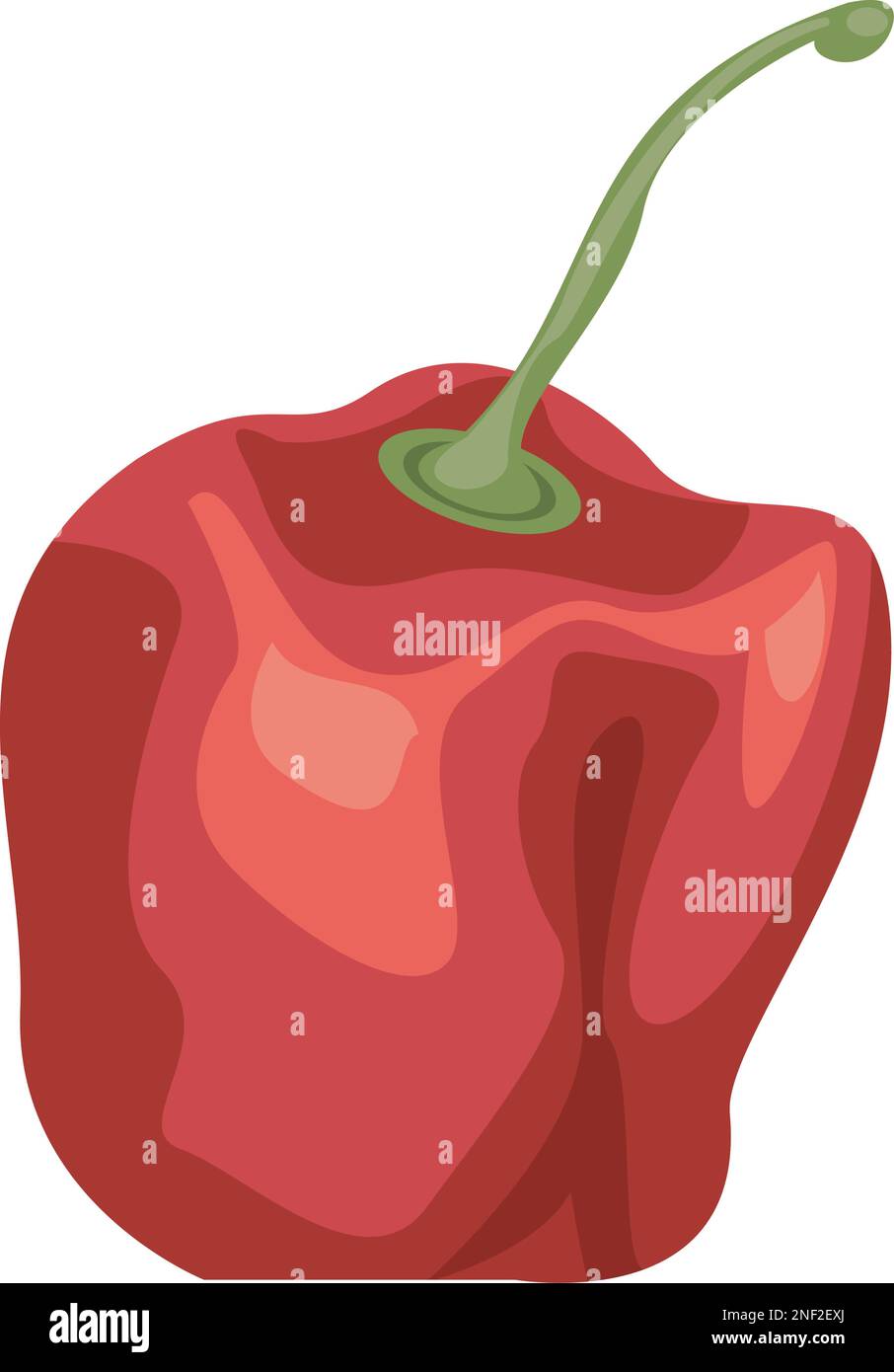 manzano chilli pepper vegetable Stock Vector Image & Art - Alamy