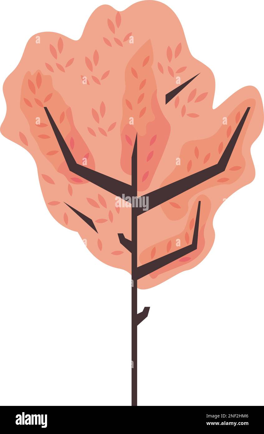 orange tree plant forest Stock Vector Image & Art - Alamy