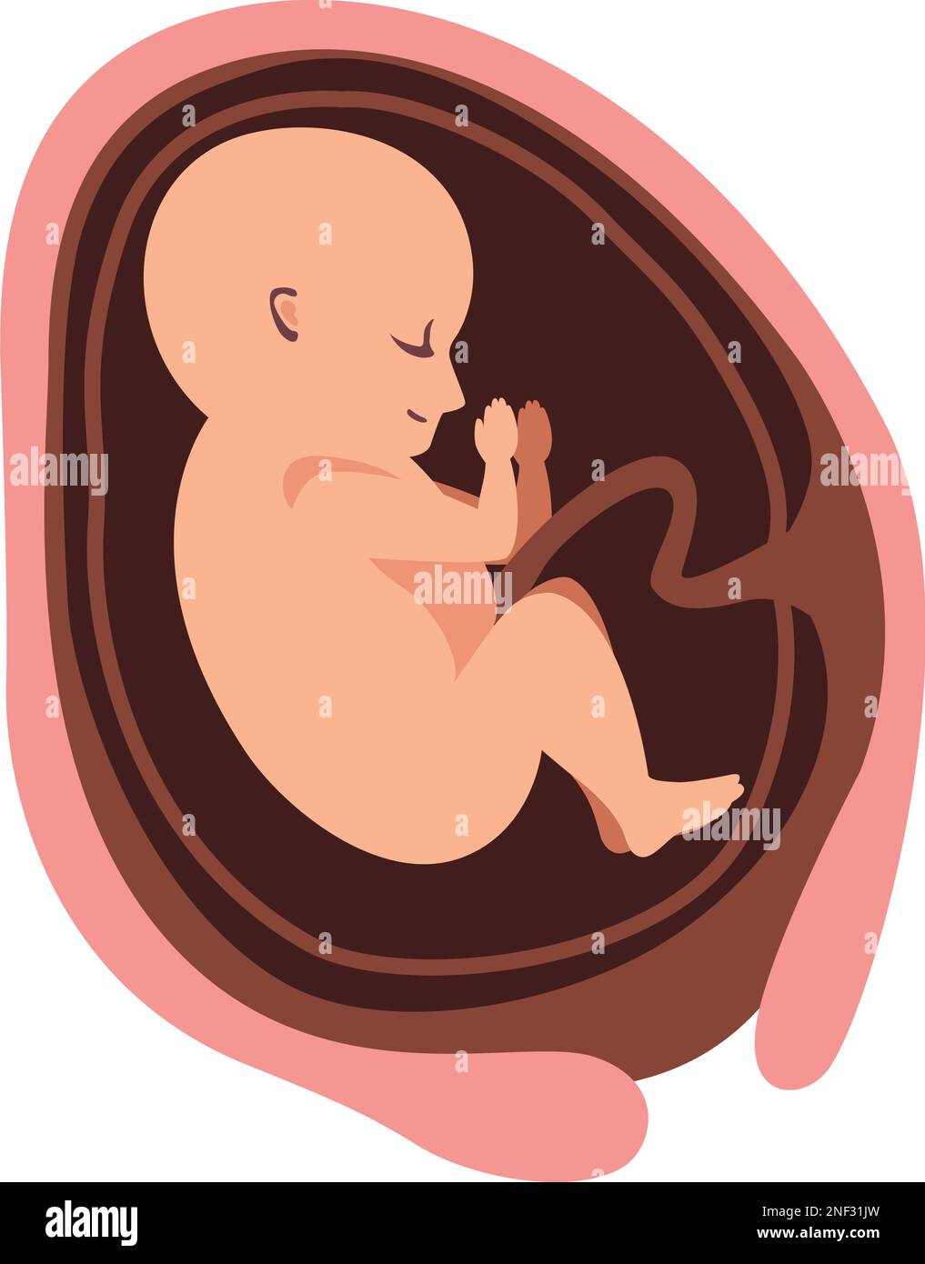 Weeks pregnant Stock Vector Images - Alamy