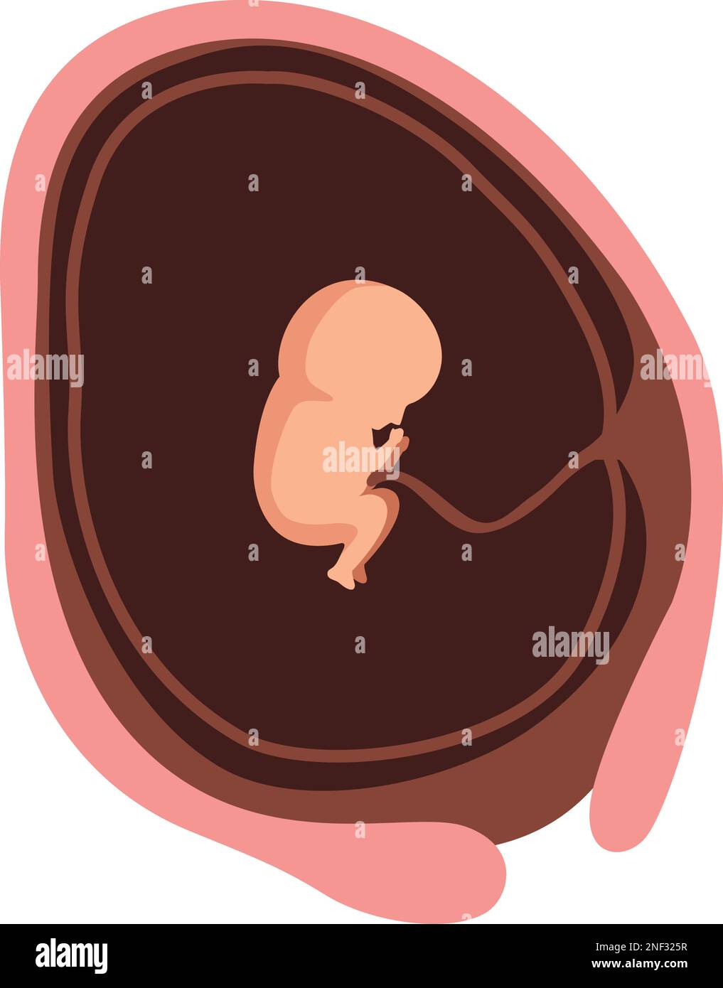 Week twelve Stock Vector Images - Alamy