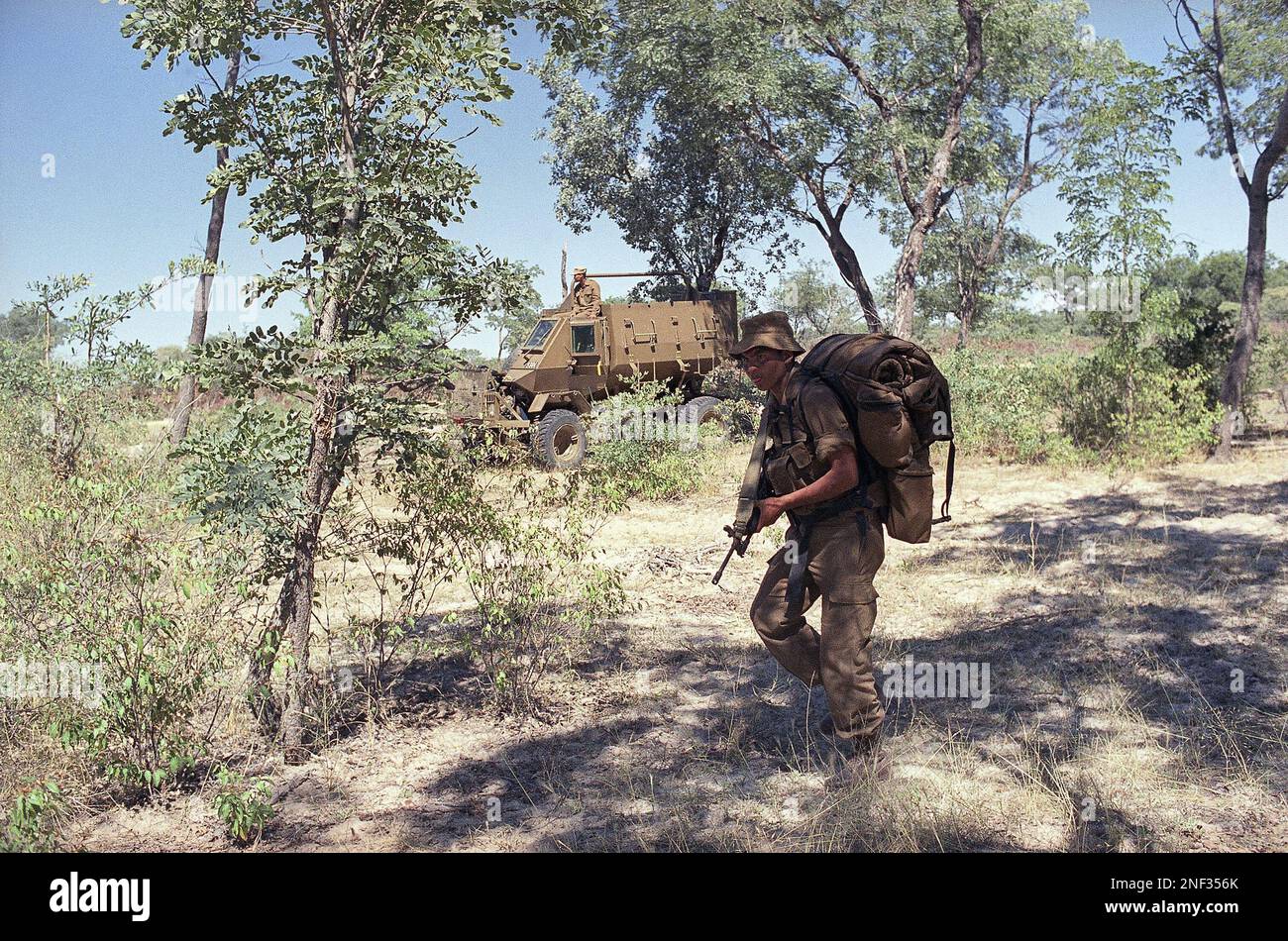 Members of 54 Battalion patrol through the bush next to the Angolan ...