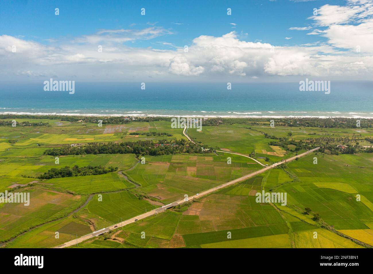 Top view of Agricultural lands and rice fields in rural areas ...