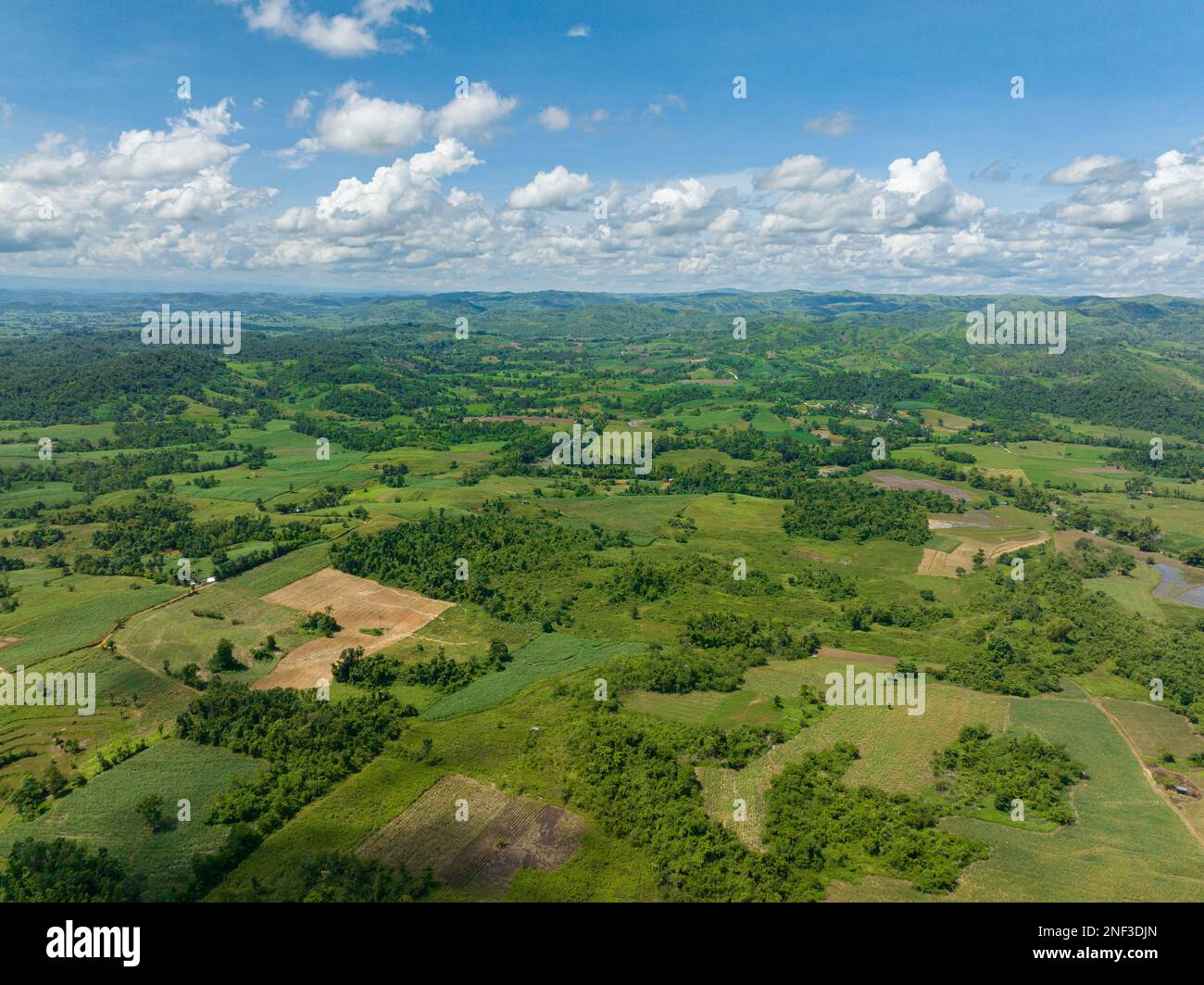 Aerial view of farmland and plantations with vegetables in the ...