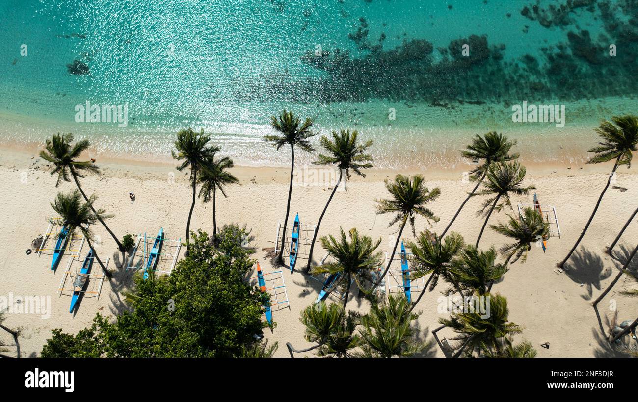 Aerial view of Tropical beach with palm trees. Pagudpud, Ilocos Norte ...